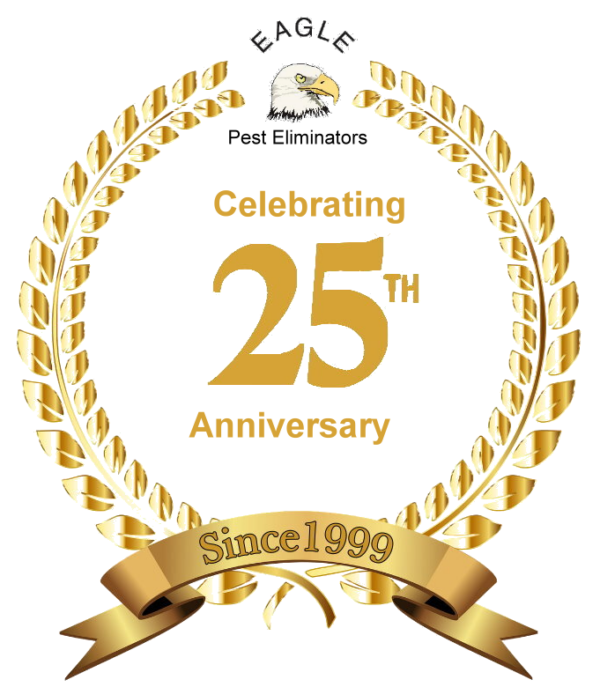 Seattle Rat-Rodent & Pest Control - Seattle Extermnators