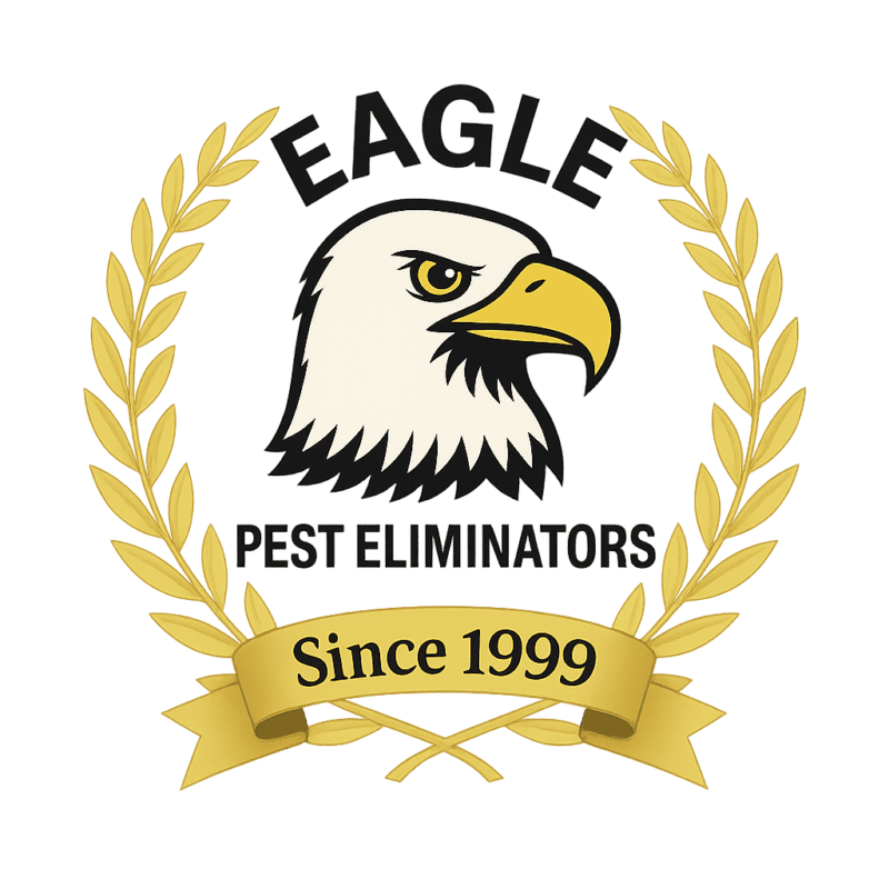 Rat-Rodent Seattle Pest Control - Best Seattle Exterminators