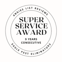 Rat-Rodent Seattle Pest Control - Best Seattle Exterminators